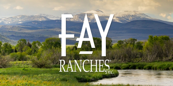 Private Jet Services | Our Partners | NICHOLAS AIR®